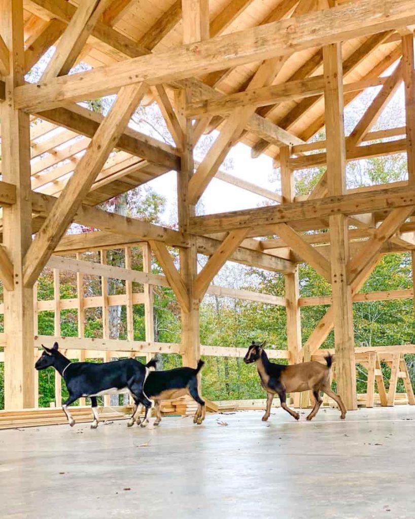 Raising a Timber Framed Community Barn - MORESUN